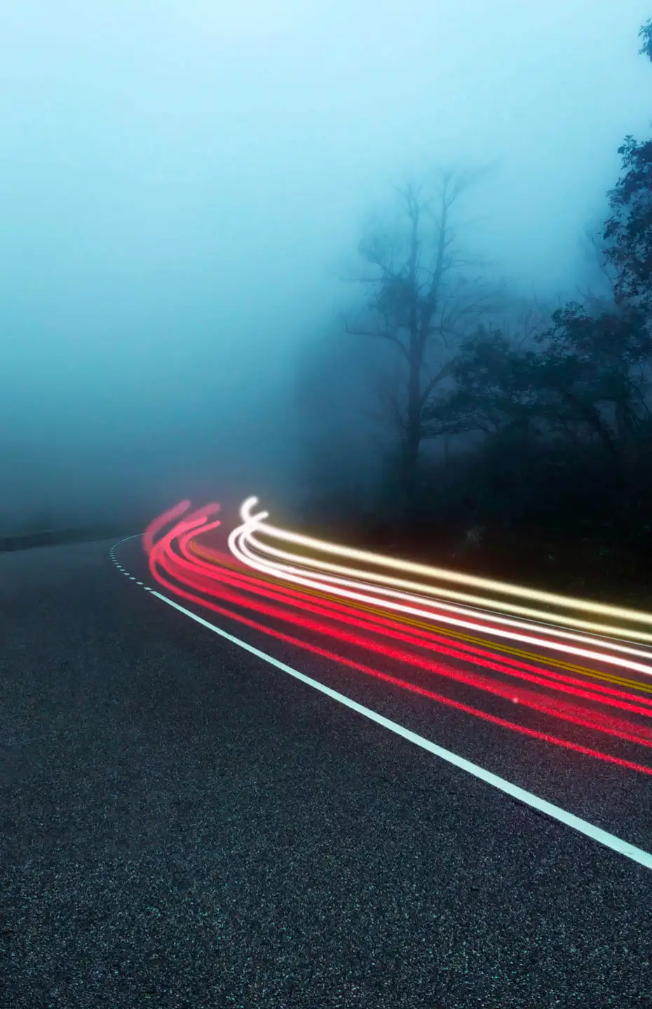 LinkedIn für Kanzleien: Jetzt strategisch starten - Kitty & Cie - Liane ...